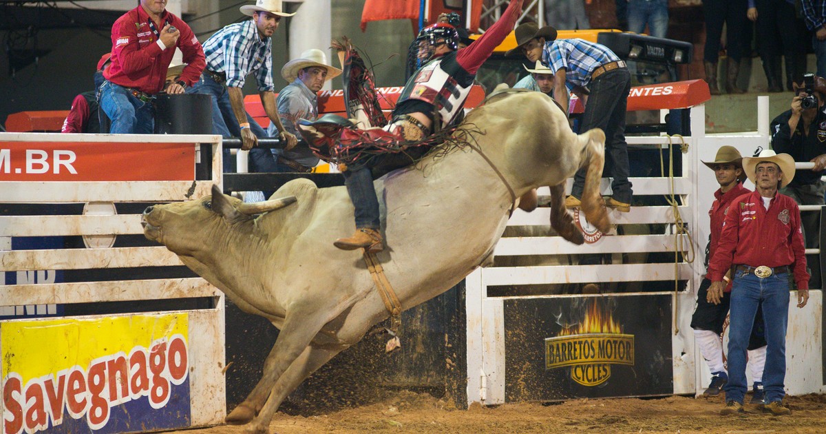 G1 - Barretos classifica peões para rodeio nos EUA com prêmio de US ...