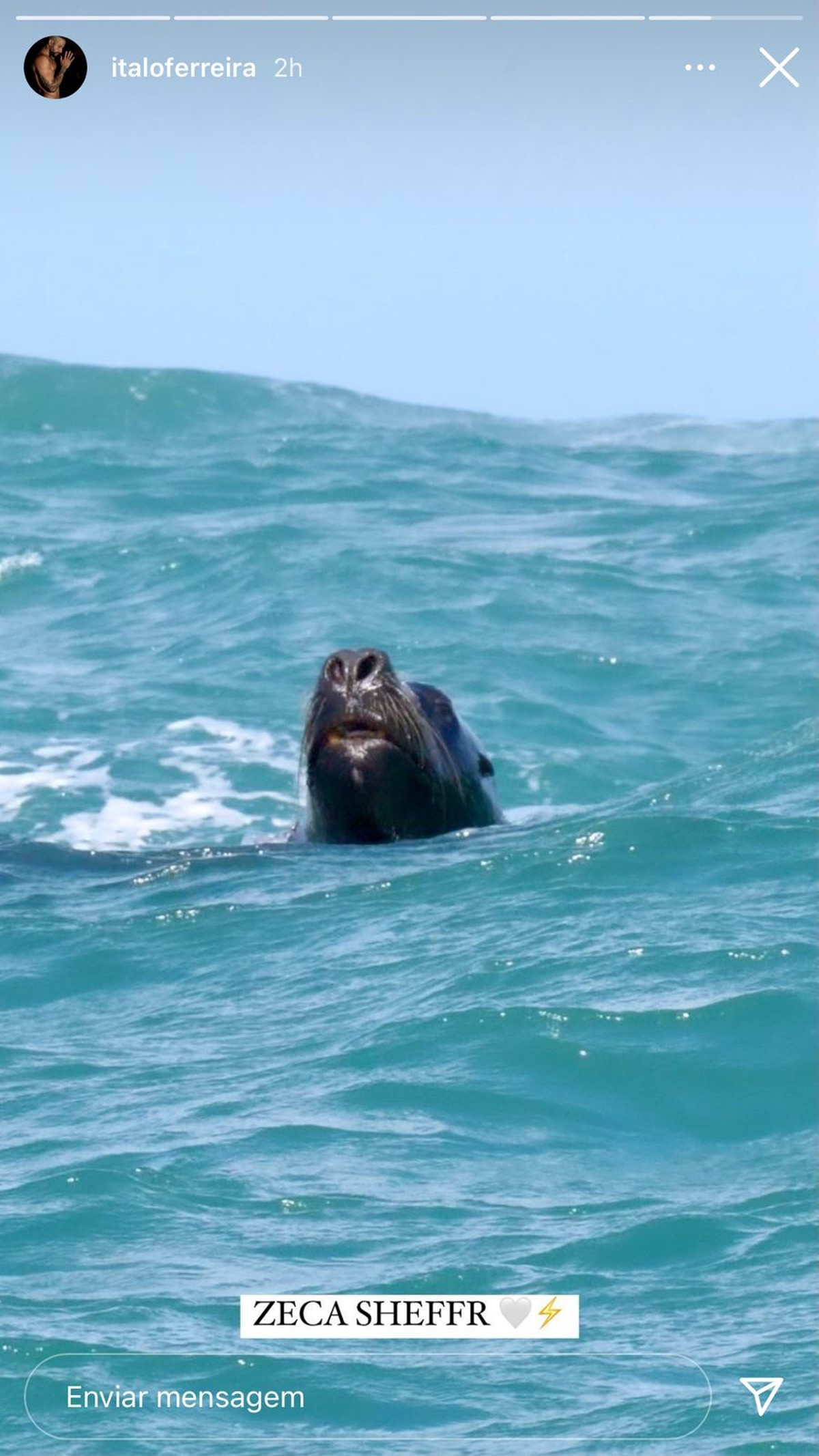 Campeão olímpico, Italo Ferreira surfa ao lado de leão-marinho em Santa ...