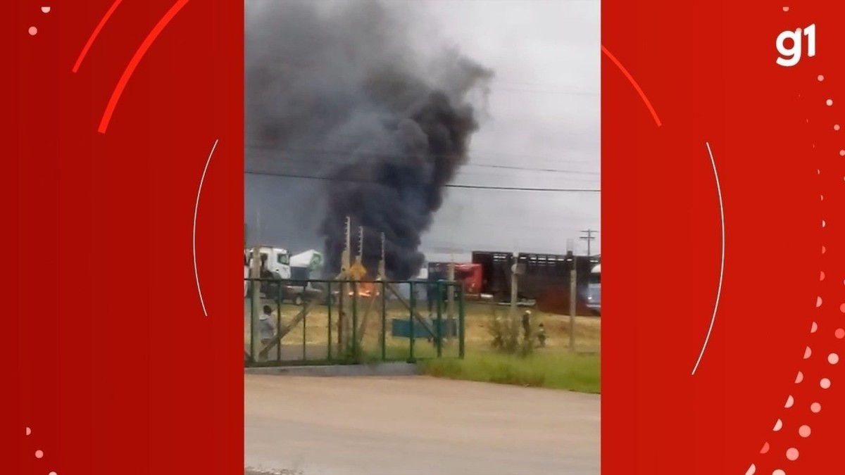 VÍDEO: Batalhão de Choque da PRF usa bala de borracha e gás ...