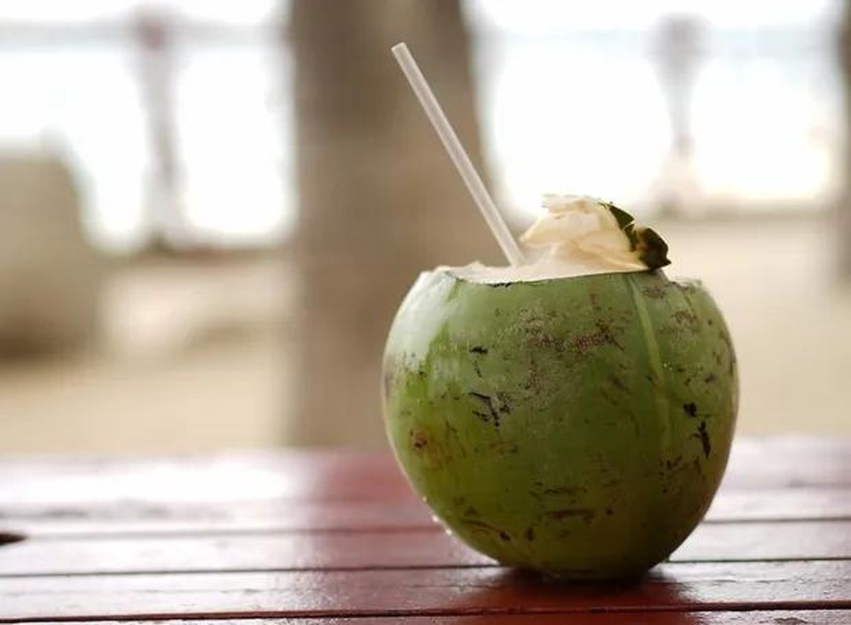 Cachorro pode comer coco verde? Entenda os efeitos da fruta no pet ...