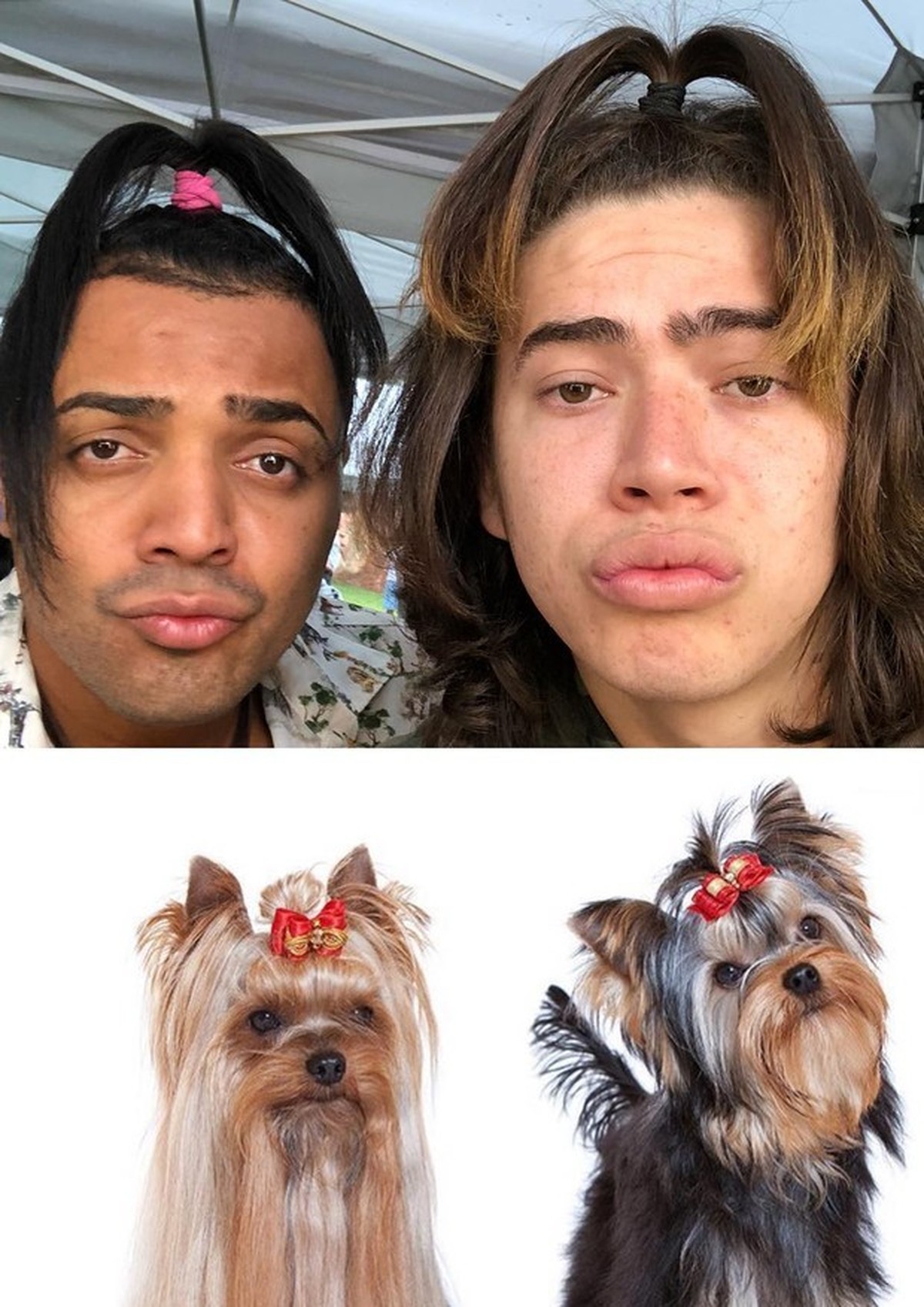 Whindersson Nunes compartilha meme de sua foto com Tirullipa ...