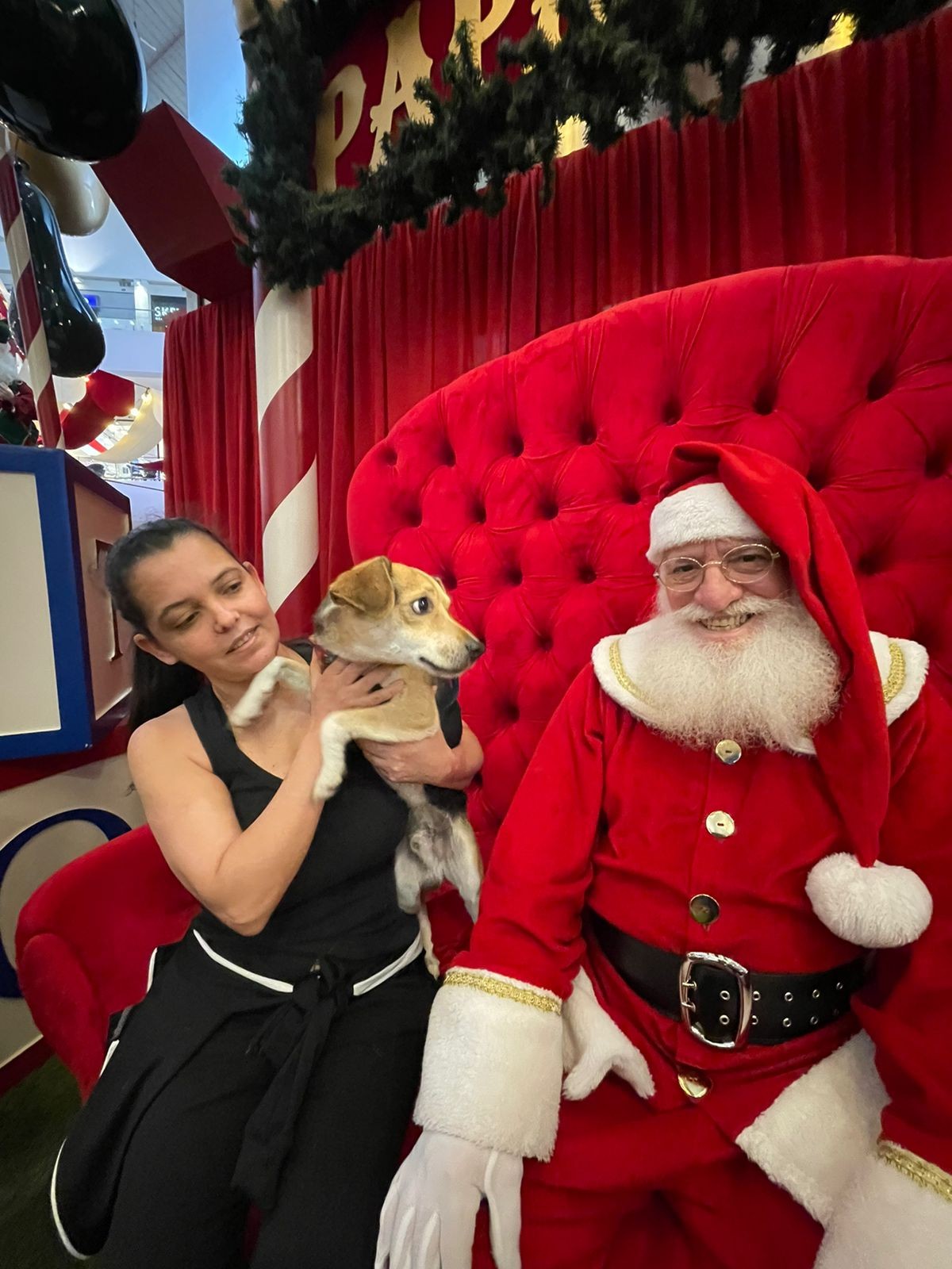 Cão fujão que deu rolê de ônibus reencontra Papai Noel em shopping de BH | Minas Gerais | G1