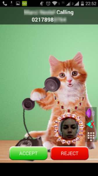 Cat Caller | Download | TechTudo