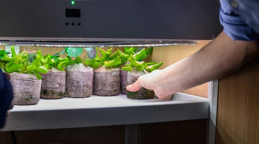 Esta horta circular permite o cultivo de vegetais dentro de casa