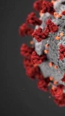 Ciência mostra como foi a luta contra a pandemia em 2020 ...