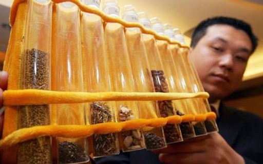 O ambicioso projeto da China para criar novos alimentos no espaço ...