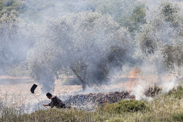 G1 - Colonos judeus provocam 50 incêndios na Cisjordânia - notícias em ...