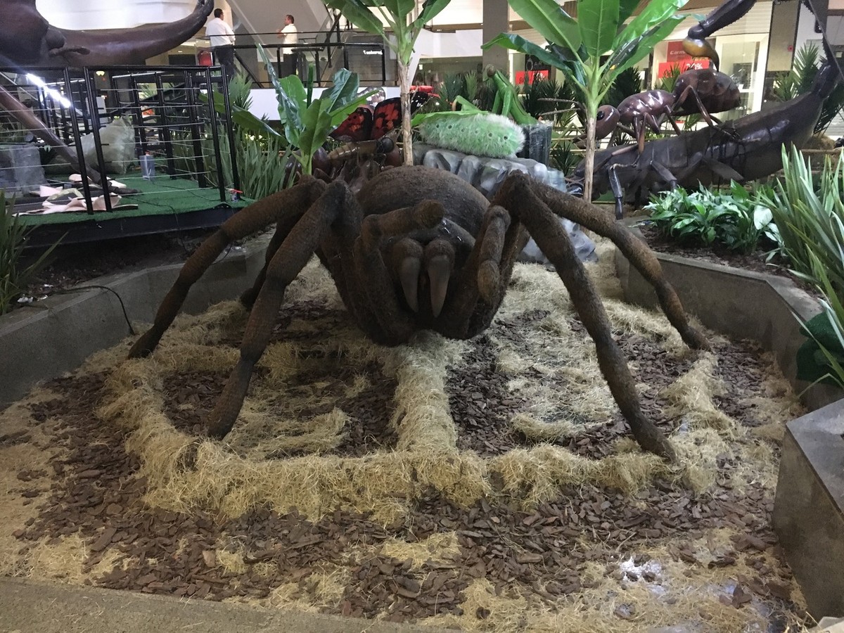 Exposição de insetos gigantes com 5 metros de altura pode ser conferida ...