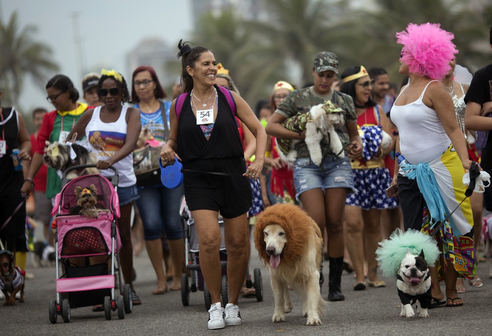 Cachorros ganham fantasias e bloco especial; FOTOS | Carnaval 2017 | G1