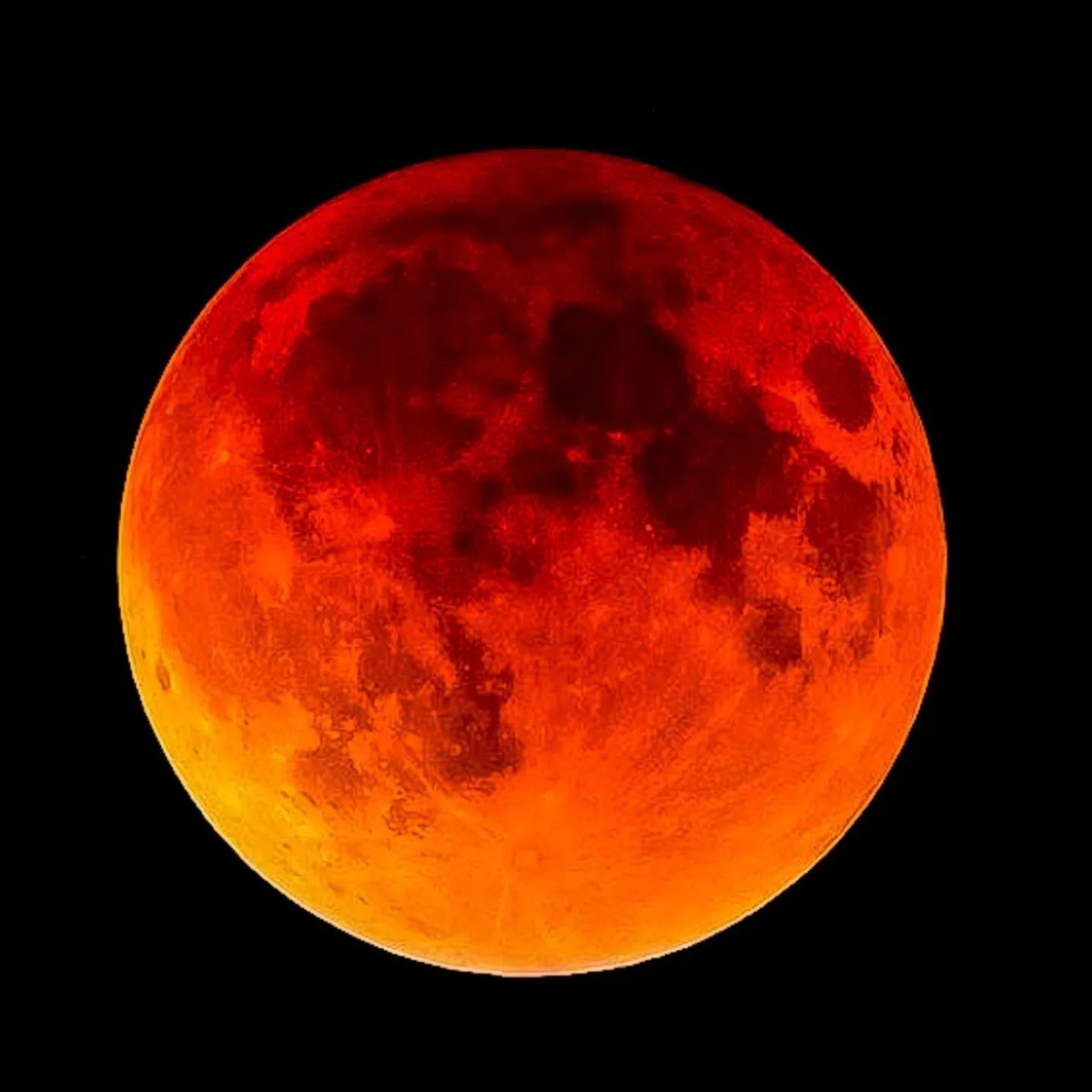 'Lua de Sangue': Teresinenses registram eclipse total da Lua; veja fotos | Piauí | G1
