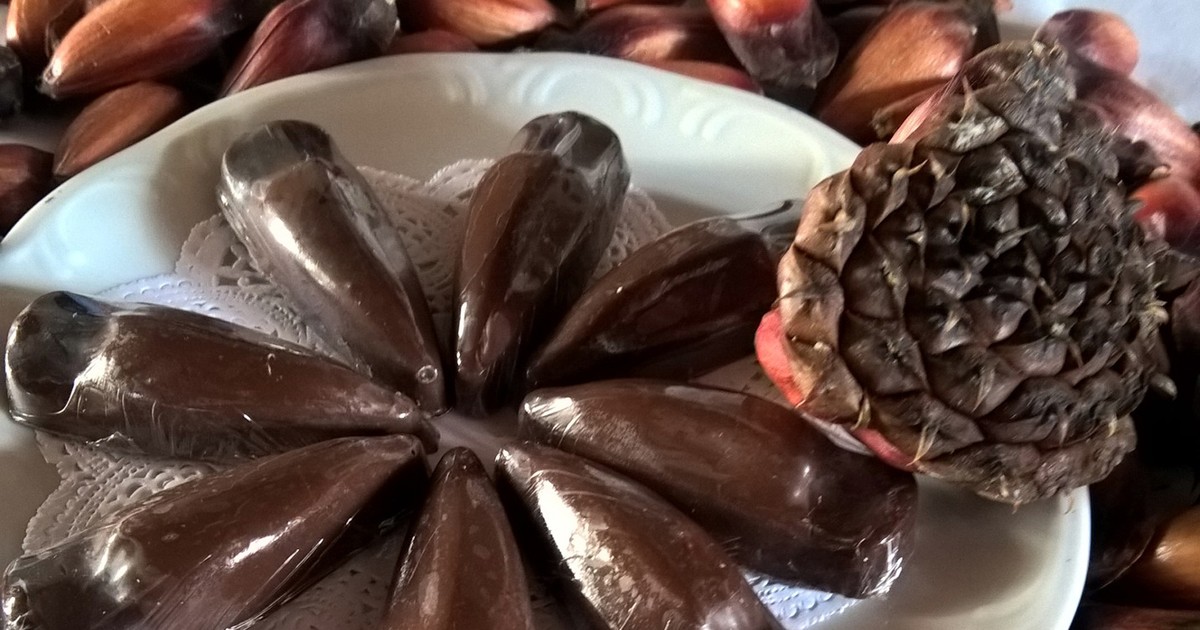 G1 - Chocolate de pinhão é novidade no festival de Monte Verde, MG ...