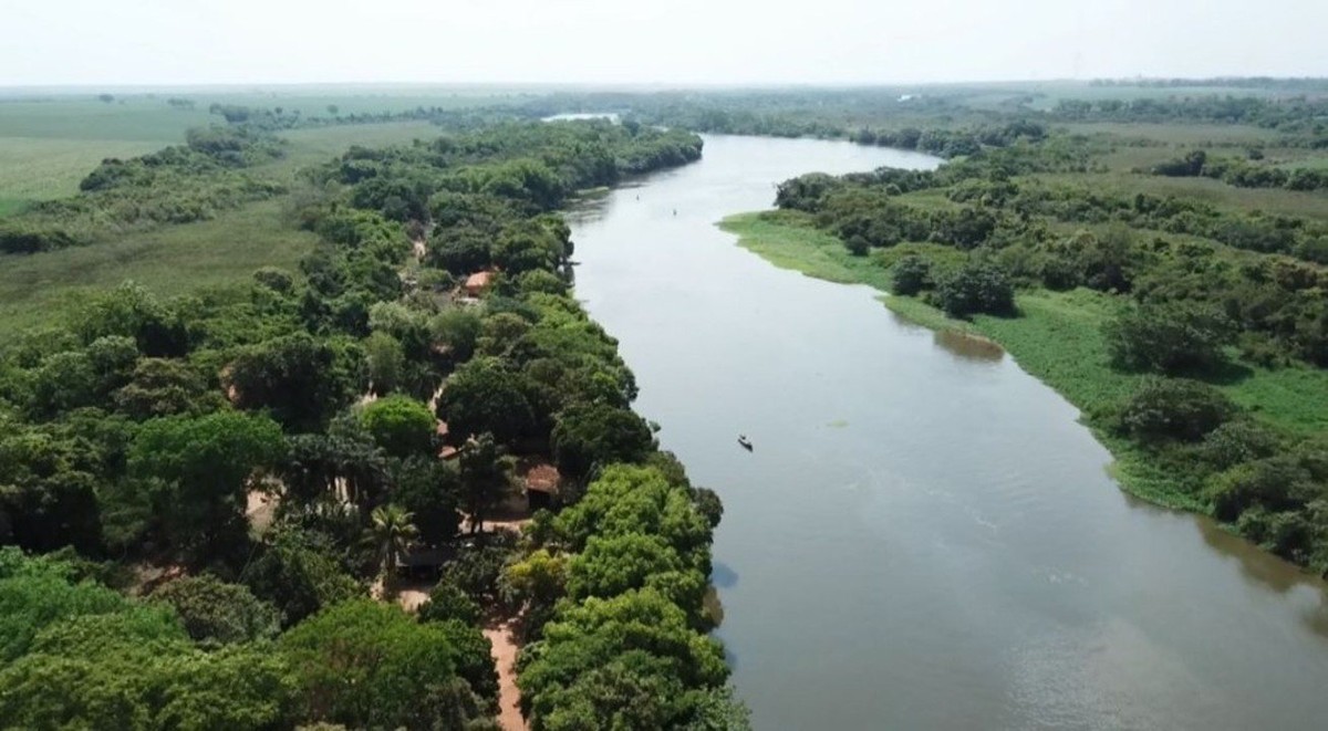 Aventura no Rio Pardo surpreende pela diversidade de peixes no estado ...