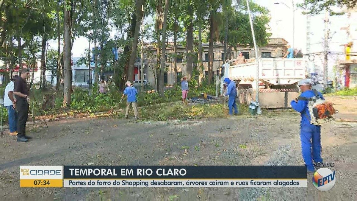 Defesa Civil de Rio Claro registra 10 pontos de queda de árvores após ...