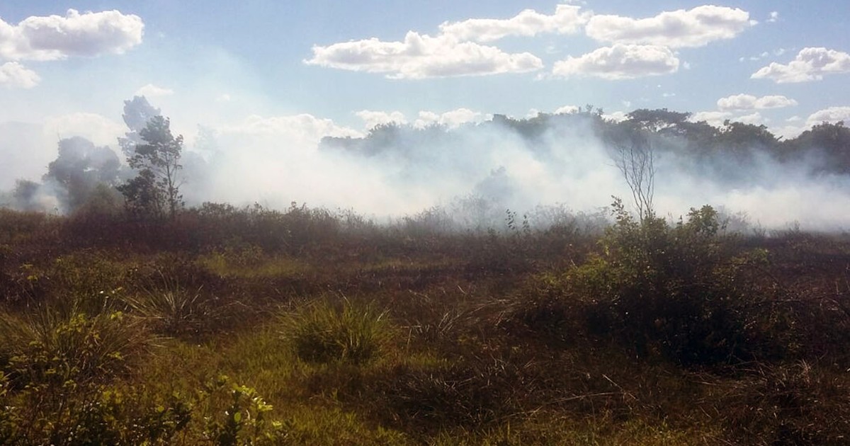 G1 - Incêndio em área de restinga de Macaé, RJ, é controlado - notícias ...