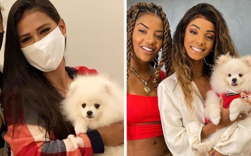 Simone apresenta novo cachorro da família que pode ser "parente" do pet ...