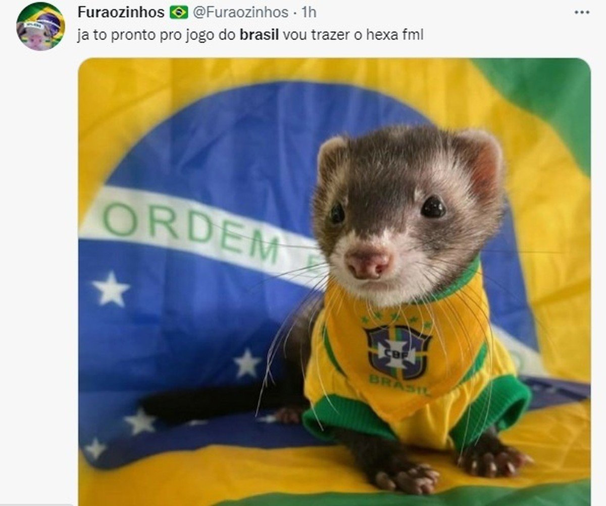 Brasil x Suíça: veja os memes do jogo na Copa do Mundo | Copa do Catar | G1