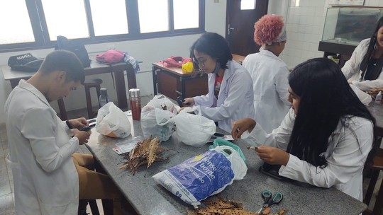 FAFIRE | Universidade | G1