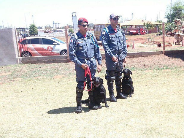 G1 - Cães treinados em Uberaba auxiliam nas buscas por soterrado em ... G1 - Cães treinados em Uberaba auxiliam nas buscas por soterrado em ...