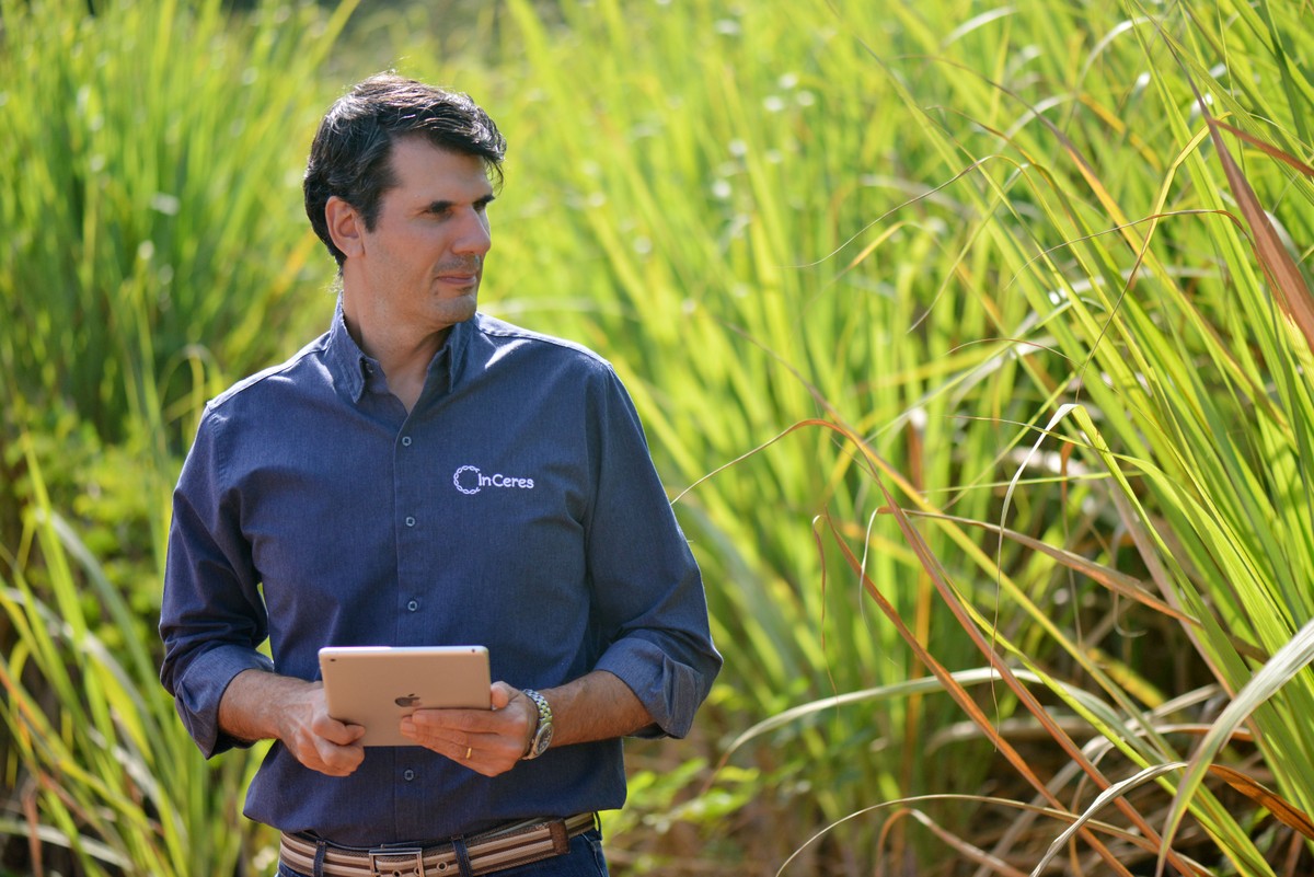 Na InCeres, um cheque do provocador da família Maggi | Startups ...