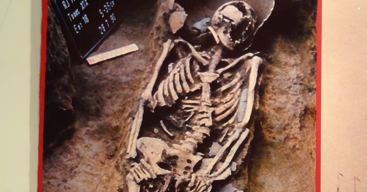 G1 - Índio Goytacá era alto e bravo, dizem historiadoras de Campos, RJ ...