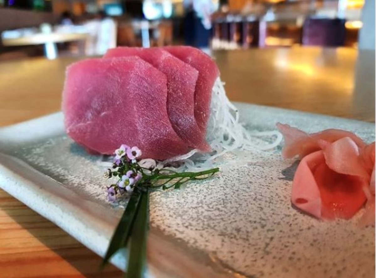 No Dia Mundial do Atum, conheça o bluefin, espécie mais cara do mundo