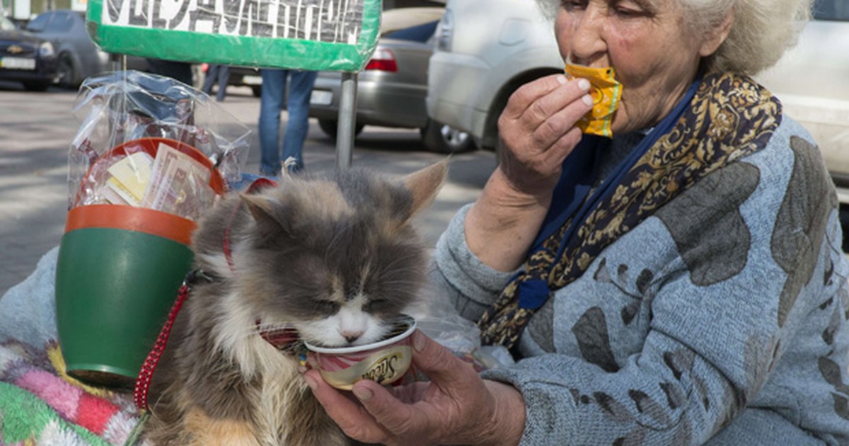 G1 - Mulher e gato lancham juntos enquanto pedem esmola na Ucrânia ...