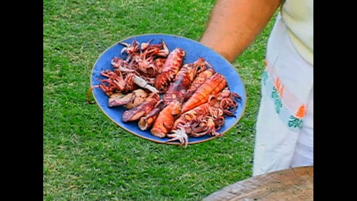 Lulas | Diário do Olivier | Receitas