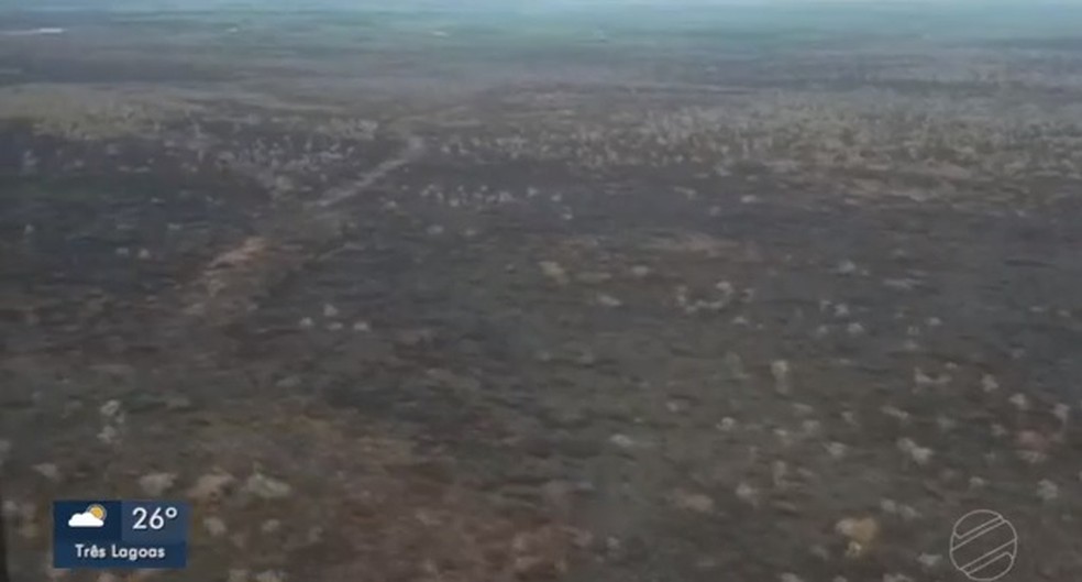 Queimada no Pantanal de MS termina com chuva e trabalho que envolveu ...