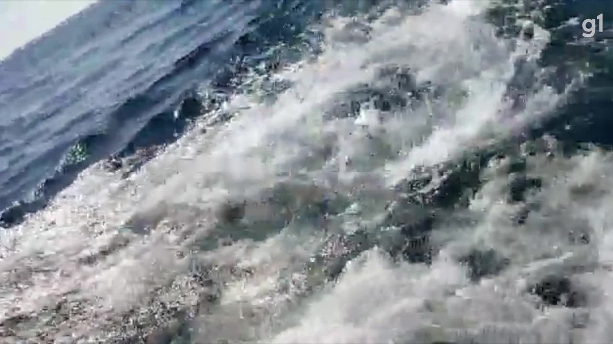 Vídeo mostra orcas atacando baleia jubarte em Arraial do Cabo, no RJ ...