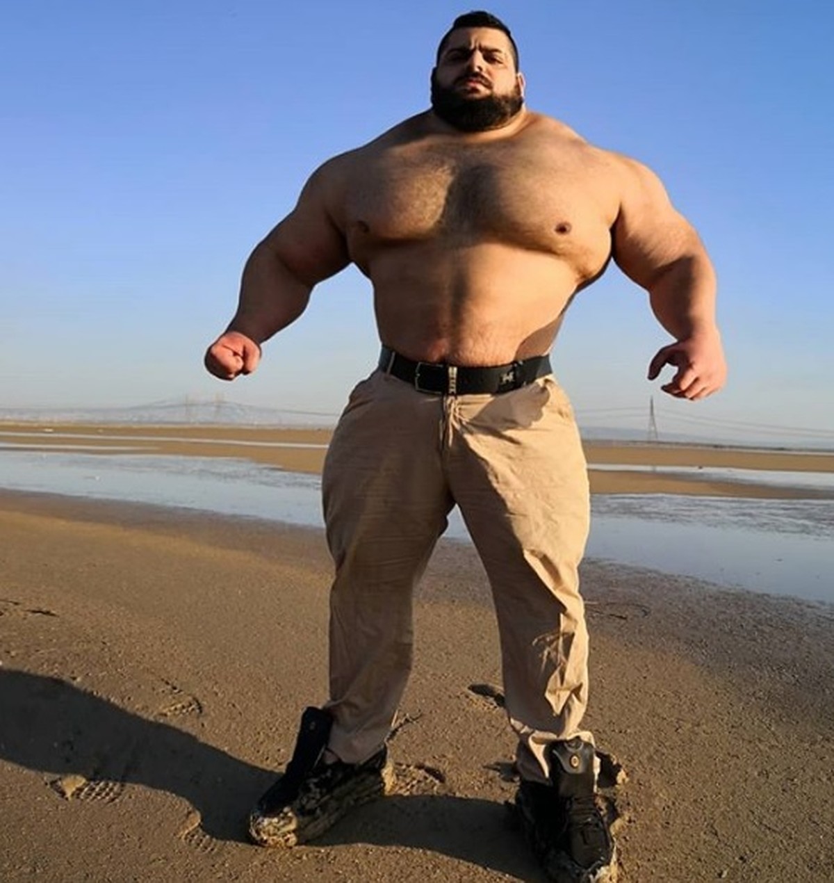 Meet The Real Life Hulk Sajad Gharibi An Iranian Bodybuilder