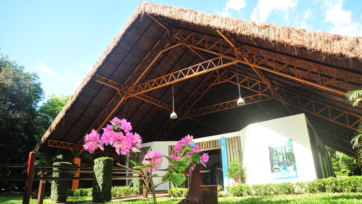 Parque Ambiental da Alumar harmoniza natureza com progresso | Especial ...