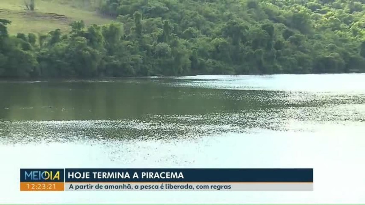 Piracema termina, e pesca volta a ser liberada no Paraná | Paraná | G1