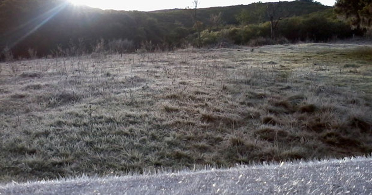 G1 - Geada atinge pelo menos 15 cidades do RS nesta quarta-feira, diz ...