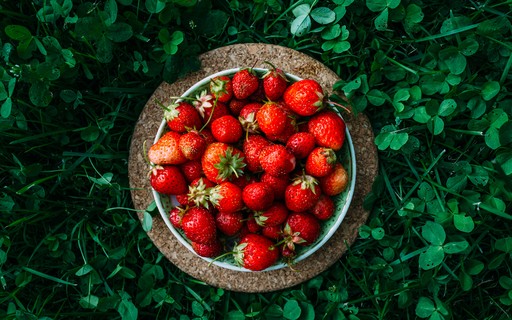 Frutíferas em vasos: 20 espécies para cultivar em casa - Casa Vogue ...