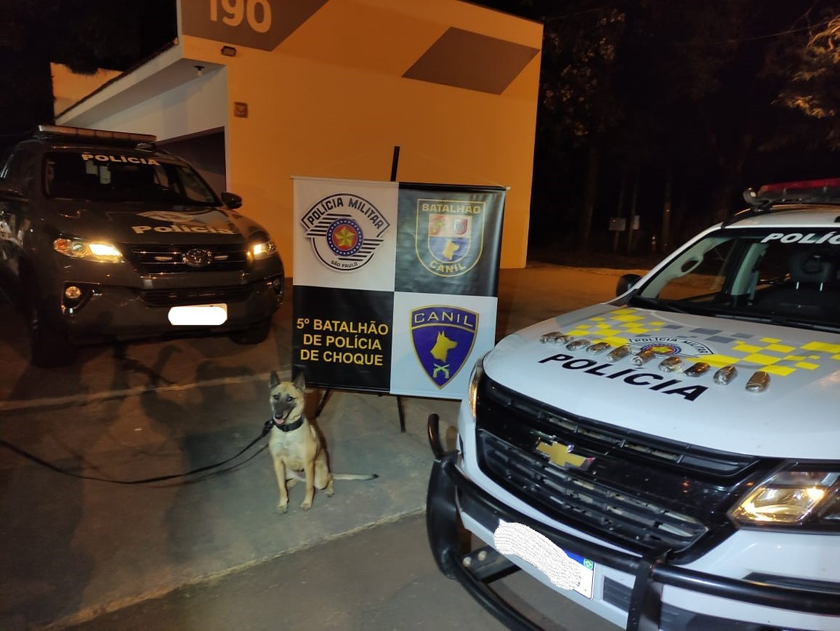 Mulher é Detida Após Ser Flagrada Pela Polícia Com Porções De Haxixe