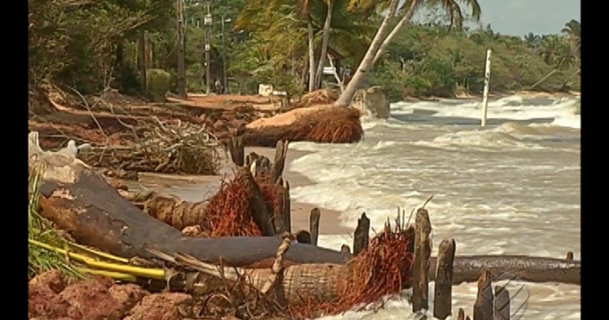 G1 - Maré alta avança sobre pista e derruba árvores no Marahu ...