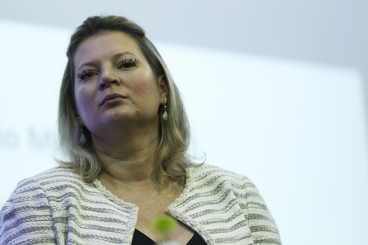 Joice diz que MP do Código Florestal poderá ser refeita e tem salvação ...