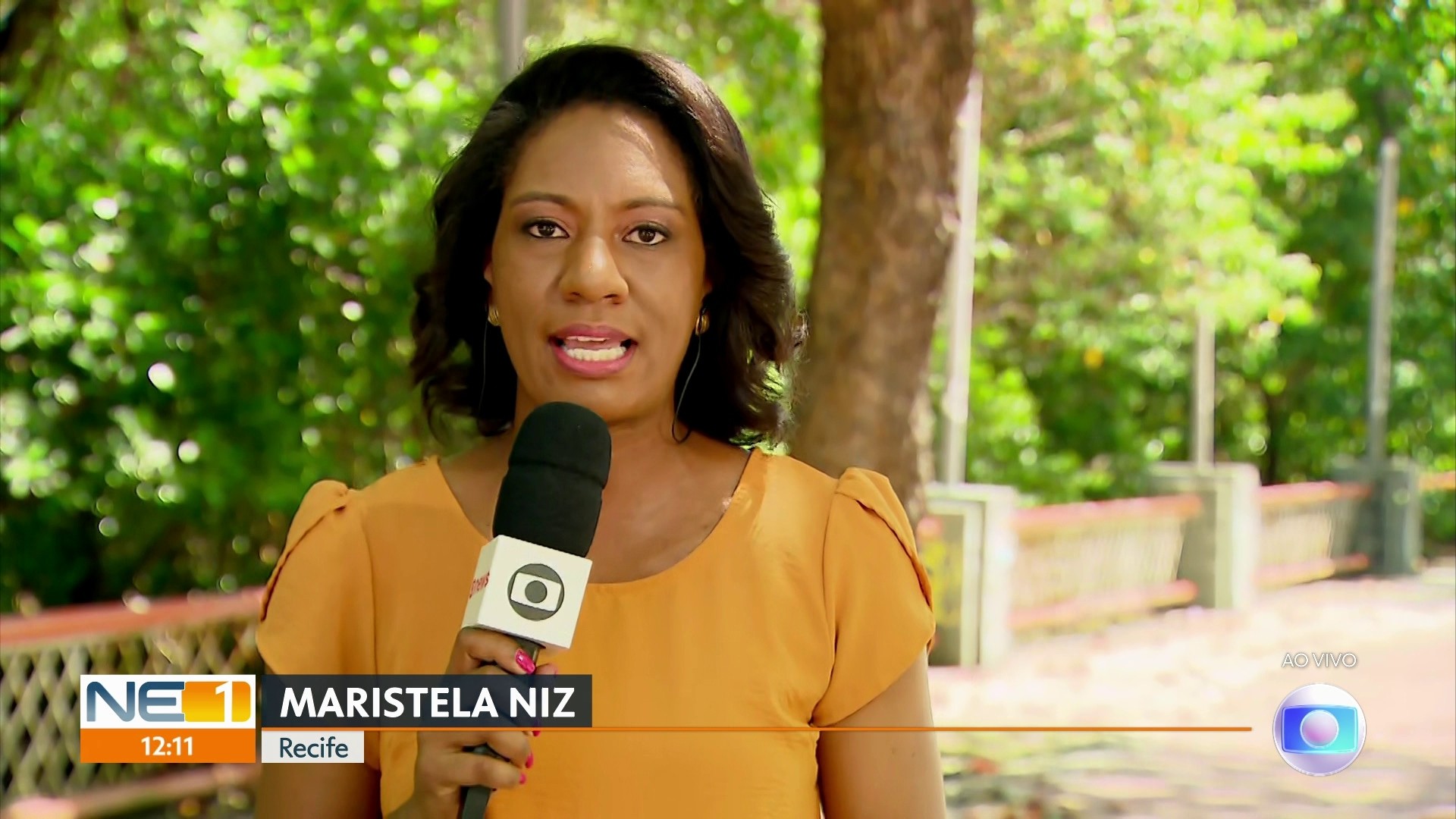 VÍDEOS: NE1 de segunda-feira, 24 de outubro de 2022 | VÍDEOS - NE1 | G1