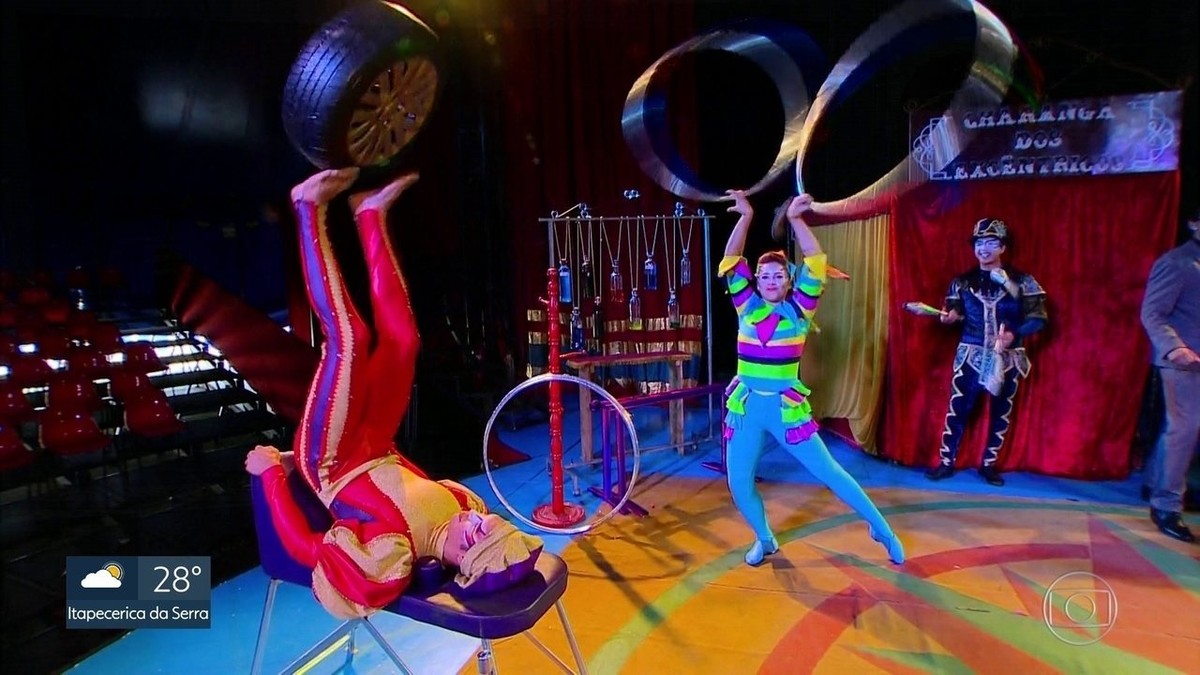 Festival Internacional do Circo começa nesta quinta em SP; veja ...
