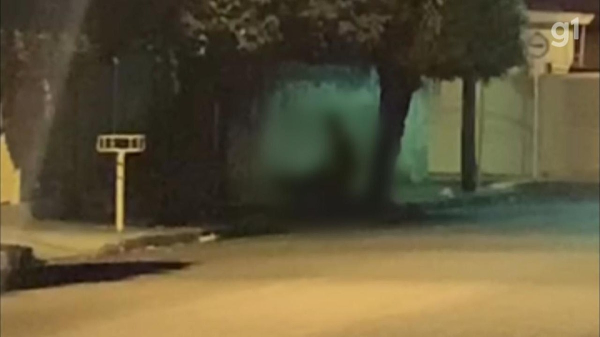 Casal é Flagrado Fazendo Sexo Em Rua De Cidade No Interior De Sp Vídeo São José Do Rio Preto