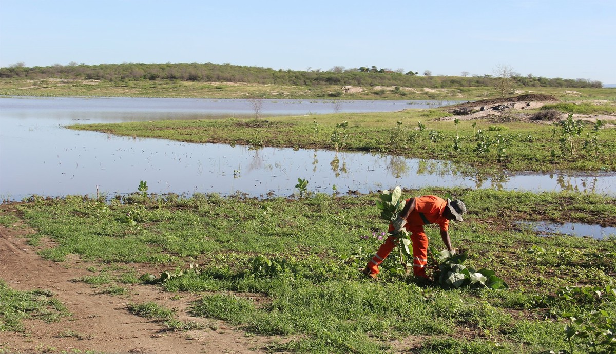 Cruzeta, RN, volta a ter água nas torneiras e número de cidades em ...