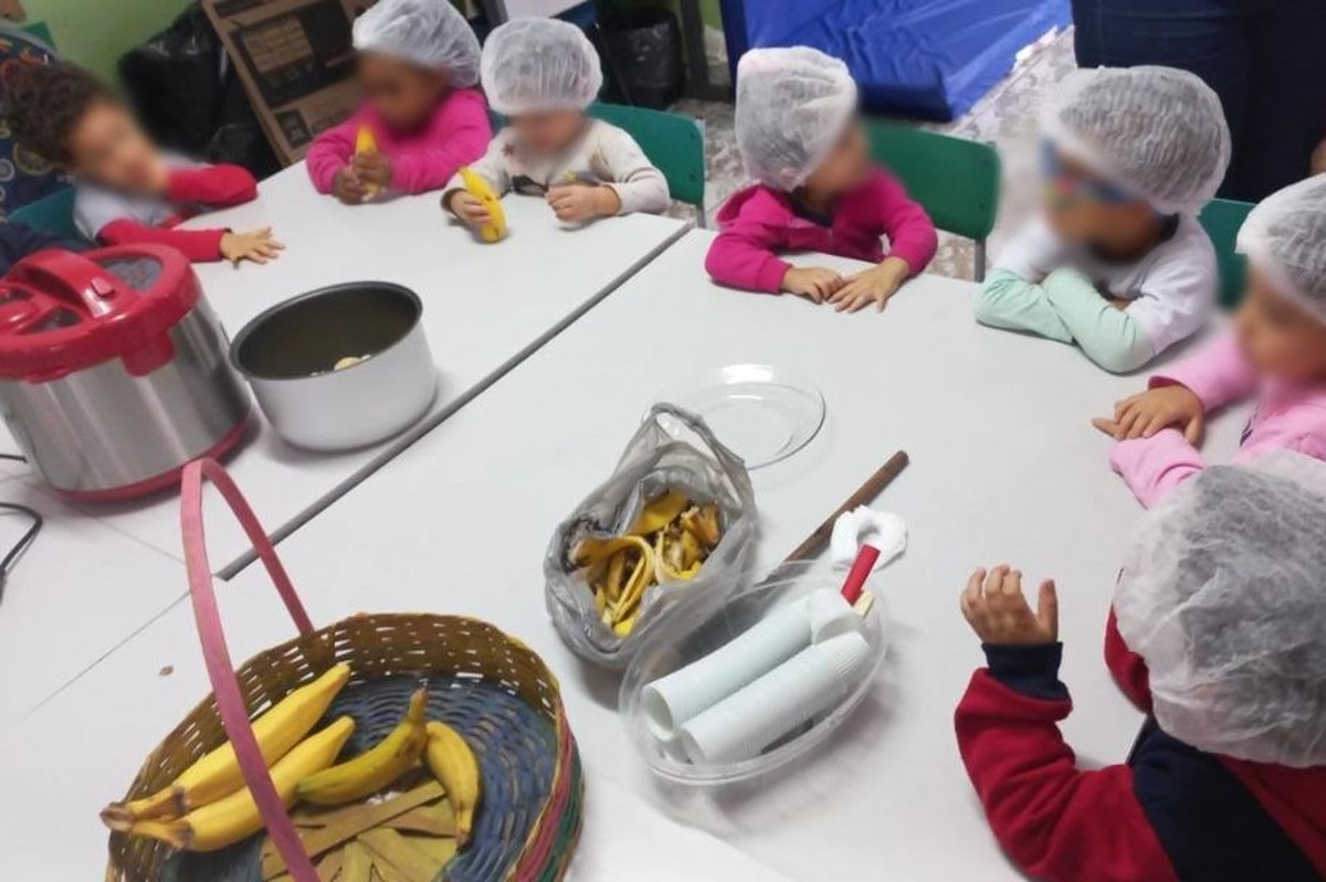 Creche promove eleição das frutas com campanha eleitoral e leva ...