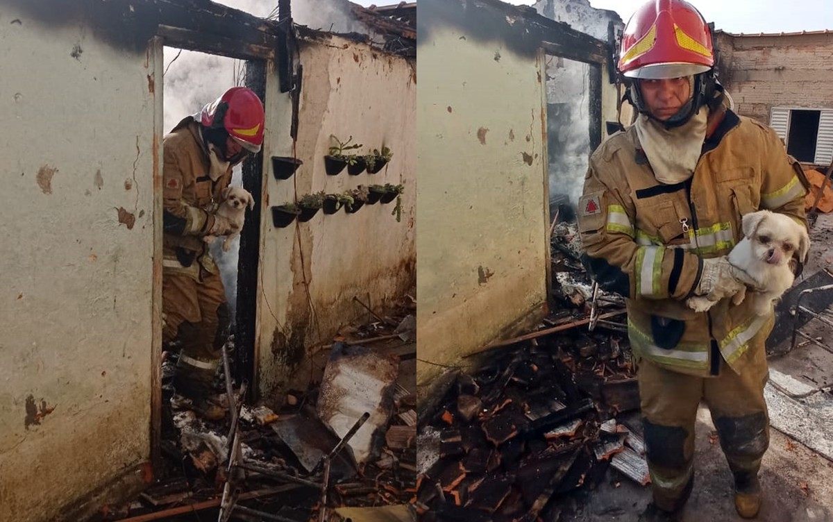 Bombeiros salvam pai com três filhos e cachorro de incêndio em ...
