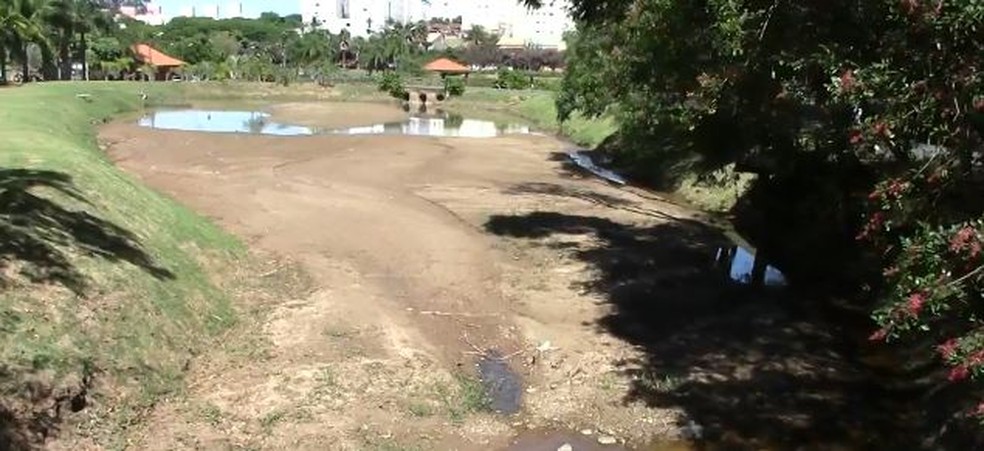Parque das Águas de Campinas tem lagoa assoreada e ponte com tábuas ...