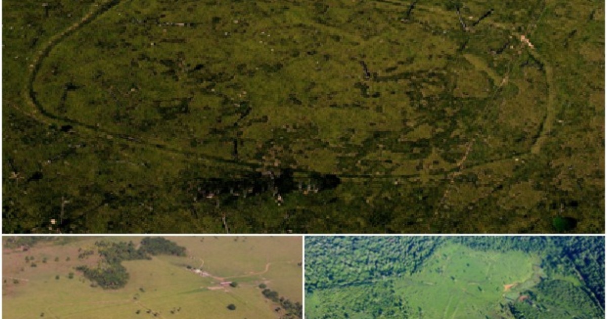 G1 - Cientistas encontram 16 geoglifos na fronteira do Amazonas com o ...