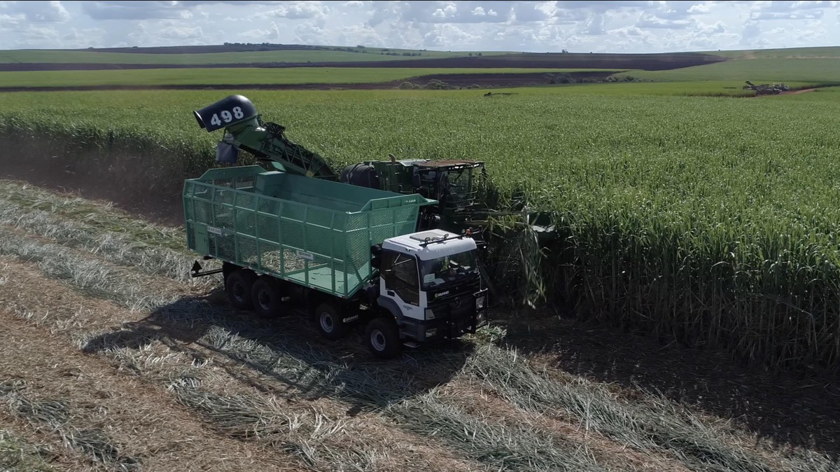 Raízen reduz suas ambições para o maior estreia na bolsa do ano ...