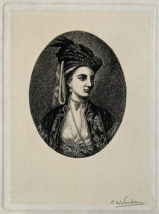 Mary Montagu: a diplomata de ciência esquecida pela história | A hora ...