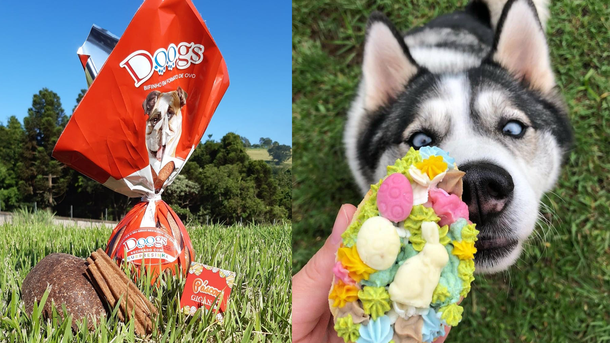 Ovos de Páscoa para pets são aposta de empreendedores para incluir os ...