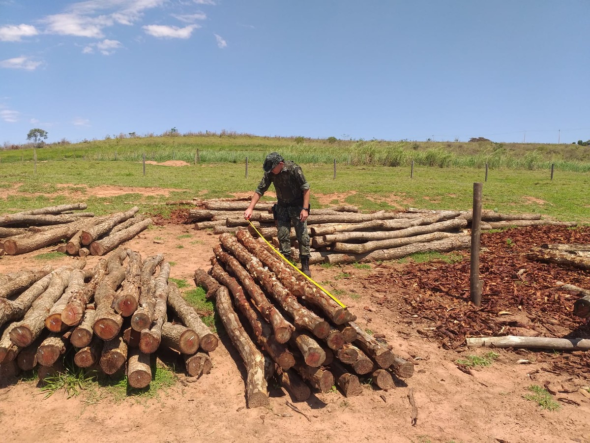 Sitiante de assentamento em Marabá Paulista é multado em R$ 3,8 mil por ...
