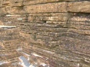 G1 - Parque do Varvito comemora 20 anos e promove atividades gratuitas ...